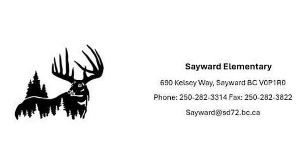 Order tickets for the Sayward School PAC Annual Giant Stocking Raffle ...